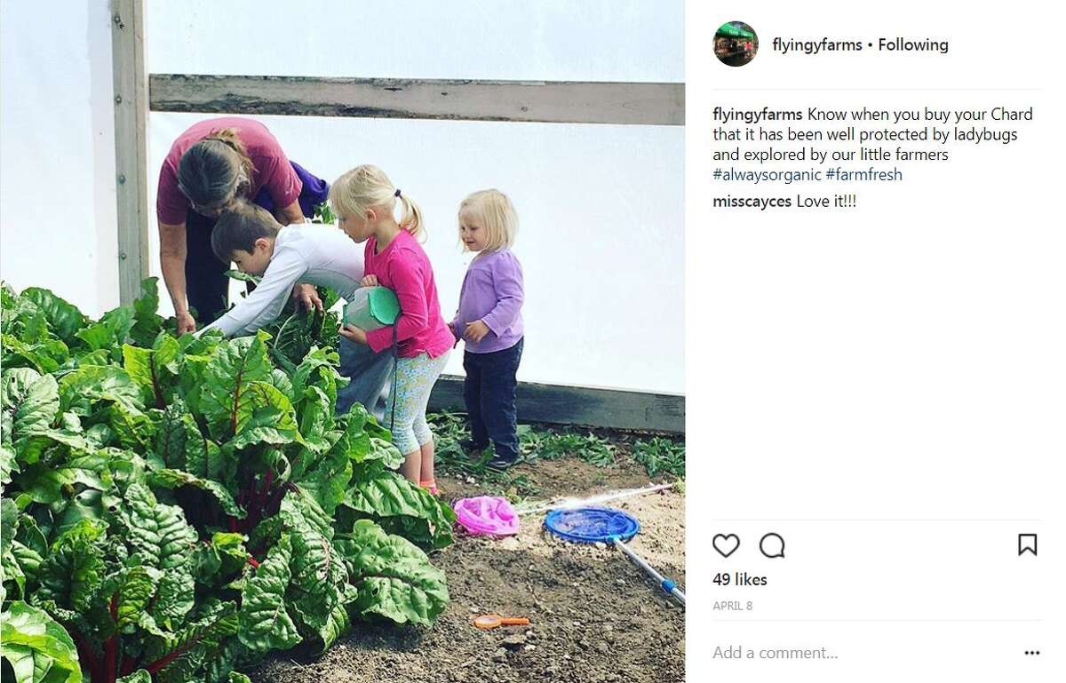 Small Bites: Five local food Instagram accounts to follow