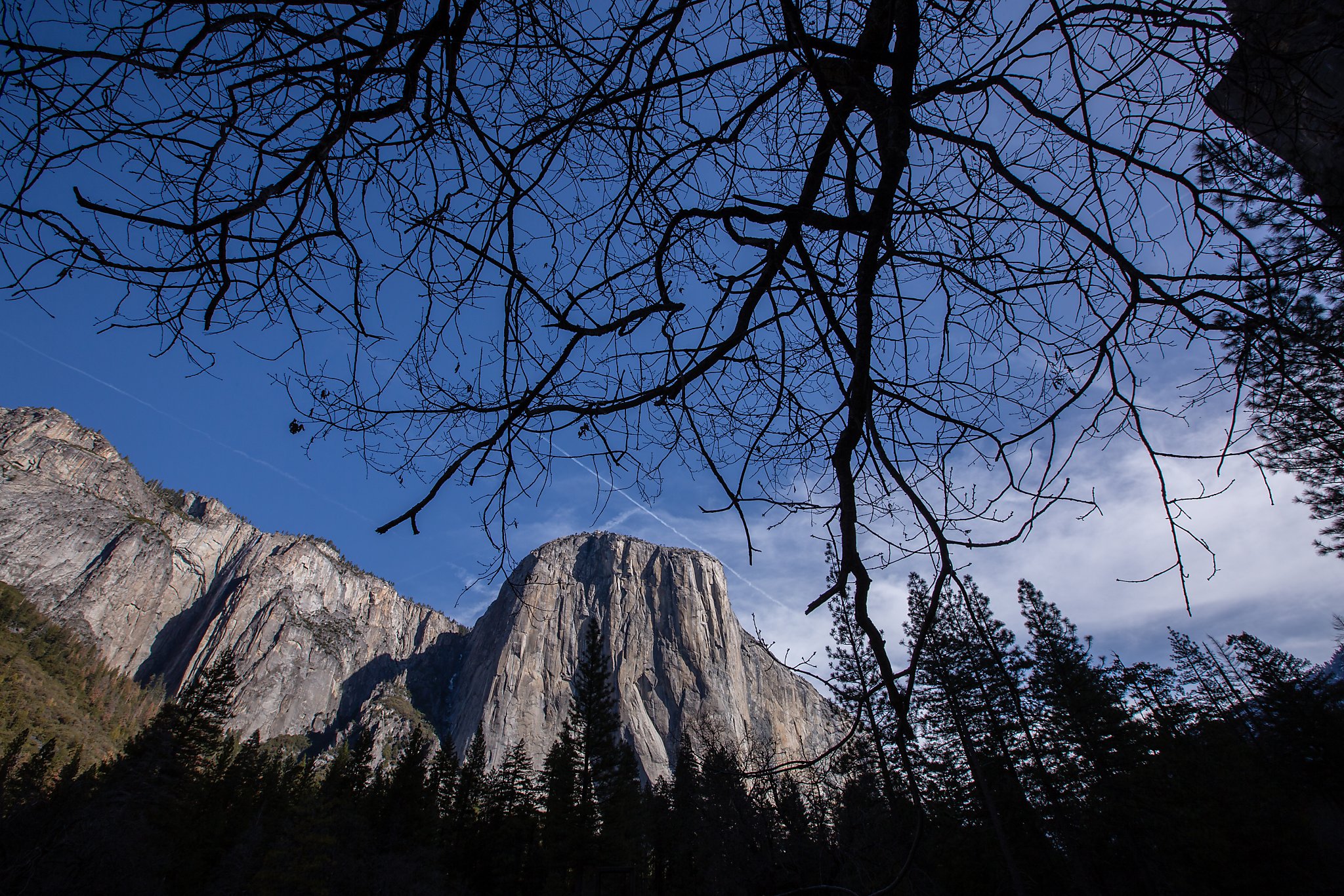 Witness to death plunge of 2 climbers on El Capitan describes horrific ...