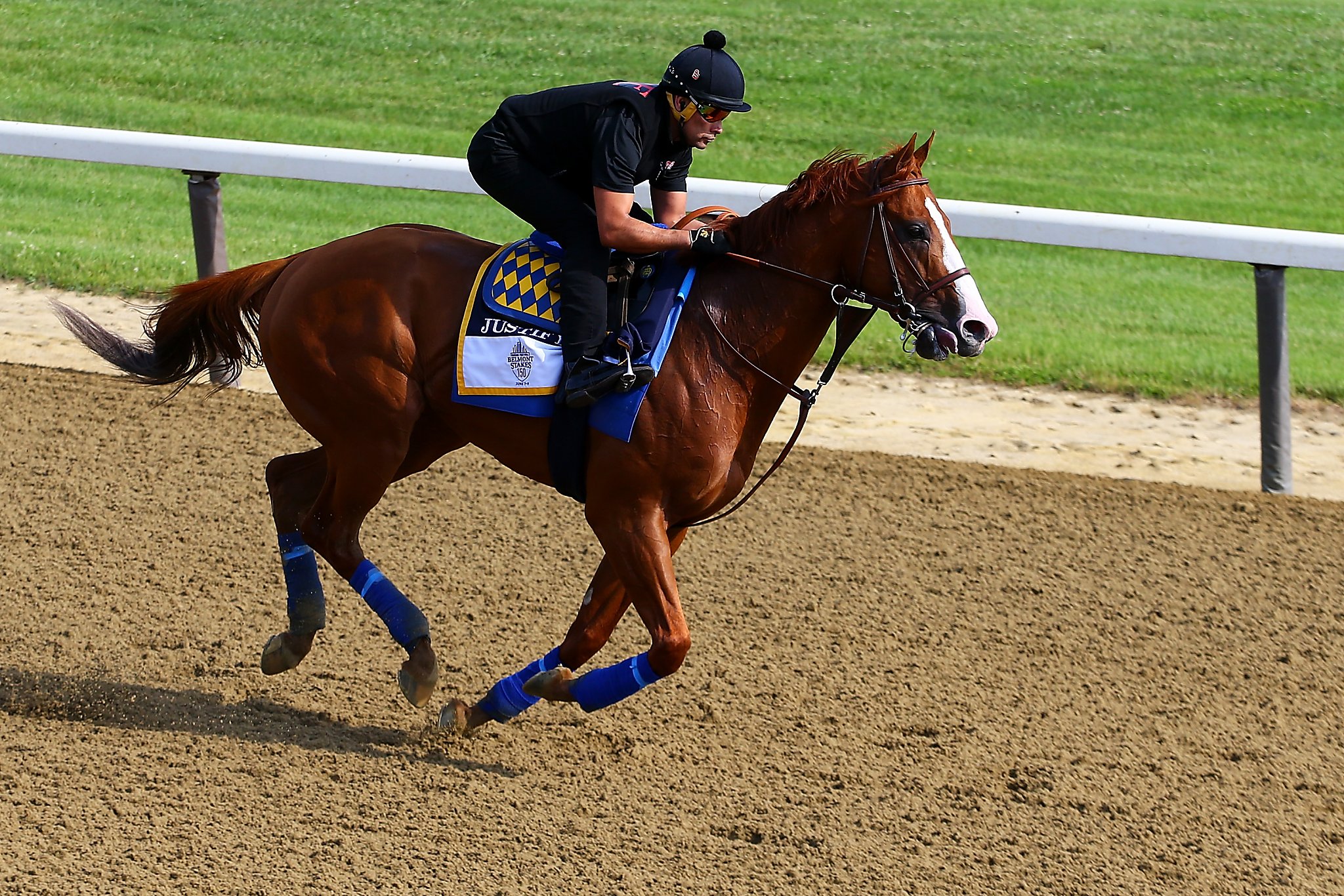 Dan Nowak’s Belmont Stakes chart and guest picks