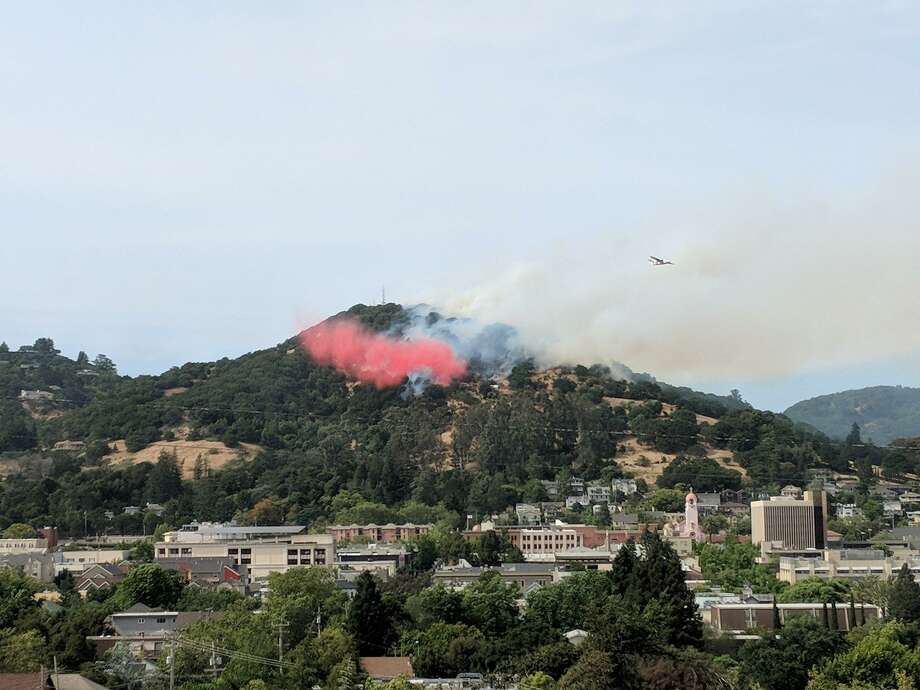 Firefighters contain blaze in San Rafael hills near Highway 101 - SFGate
