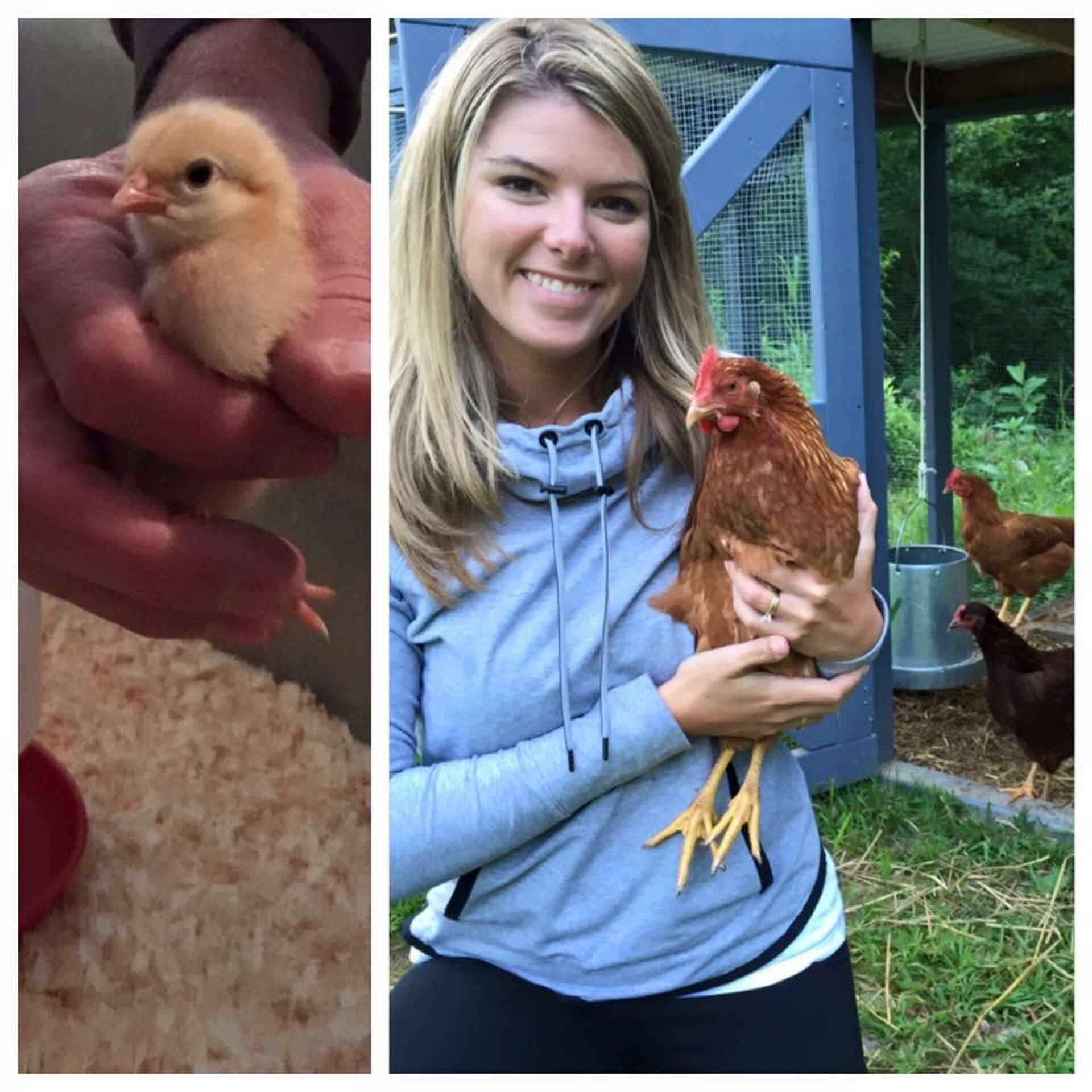 20 things you don't know about 'The Taft Girl' Deanna Daly