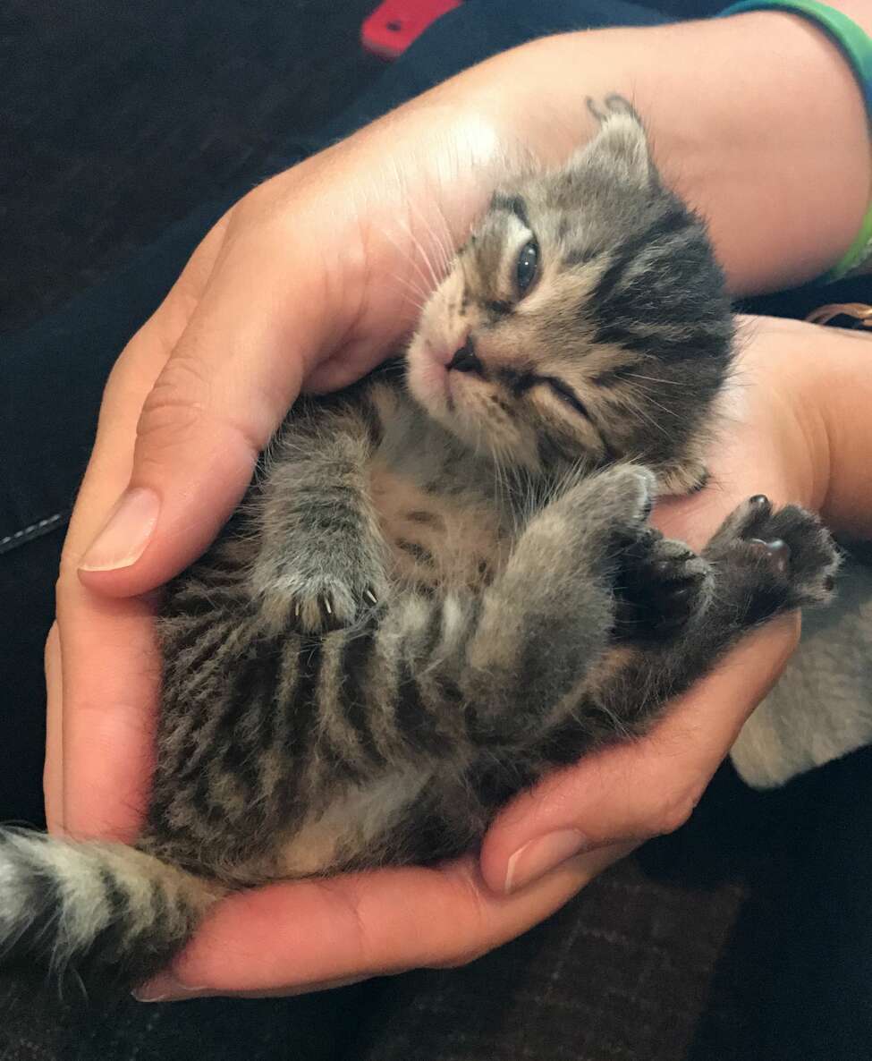 20 things you don't know about 'The Taft Girl' Deanna Daly