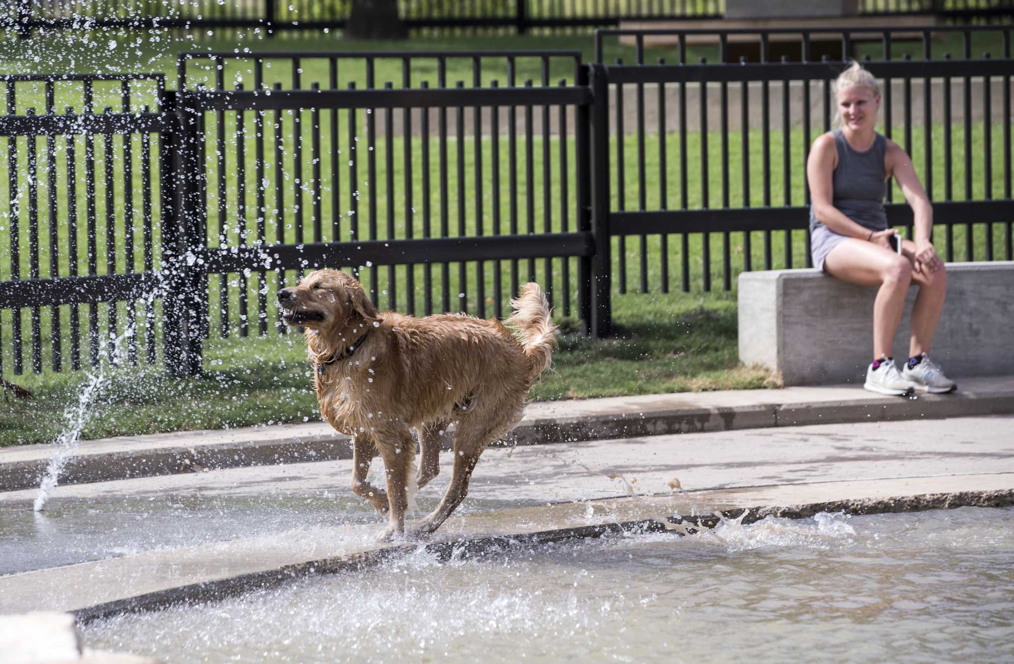 Yes, the Johnny Steele Dog Park is closed but there is a method to the ...