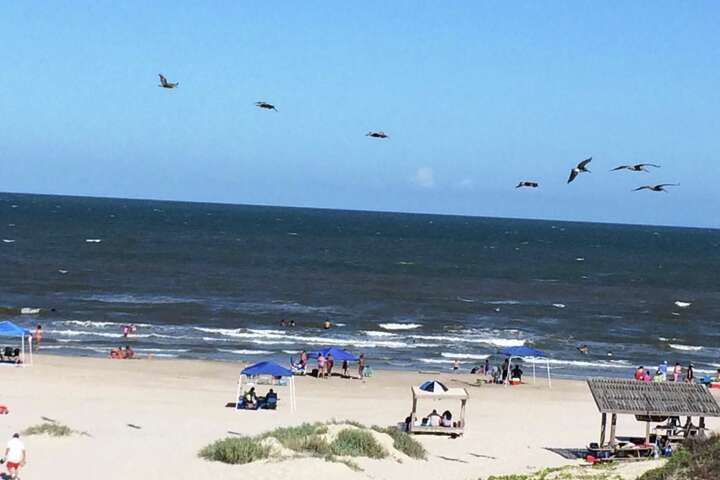 15 best beaches in Texas, according to Lone Star travel guide