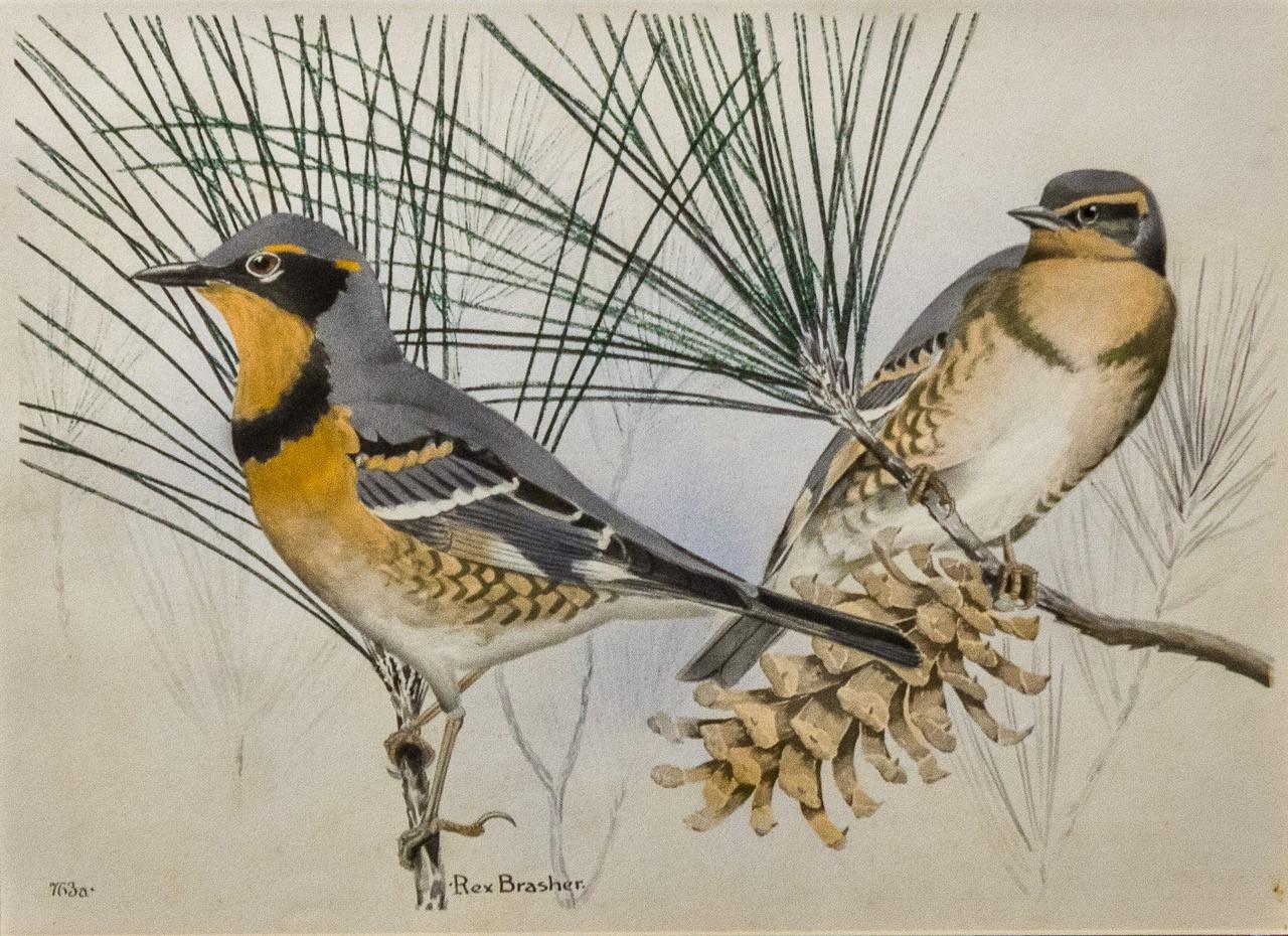 Kent Art Association program explores work of artist Rex Brasher