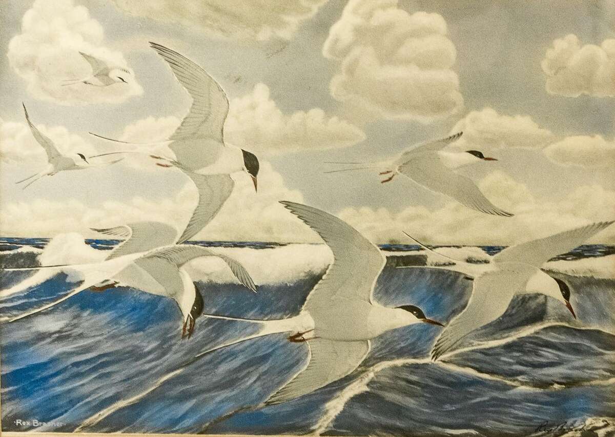 Kent Art Association program explores work of artist Rex Brasher