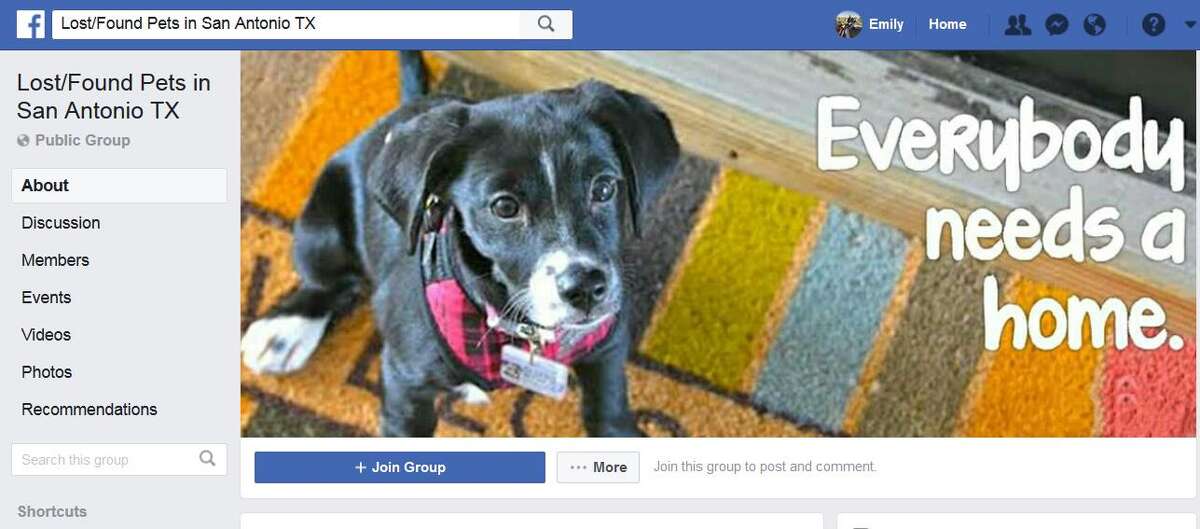 Social media great at helping lost pets get home again