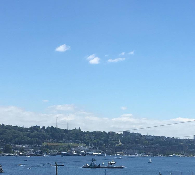 Why was there a cow floating around Lake Union yesterday?