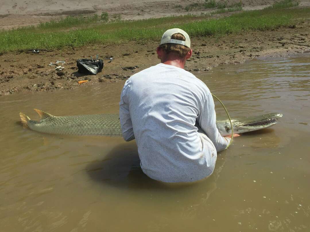 Texas' own 'Fish Whisperer' catches an 8-foot alligator gar in the ...