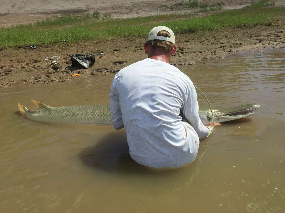Texas' own 'Fish Whisperer' catches an 8-foot alligator gar in the ...