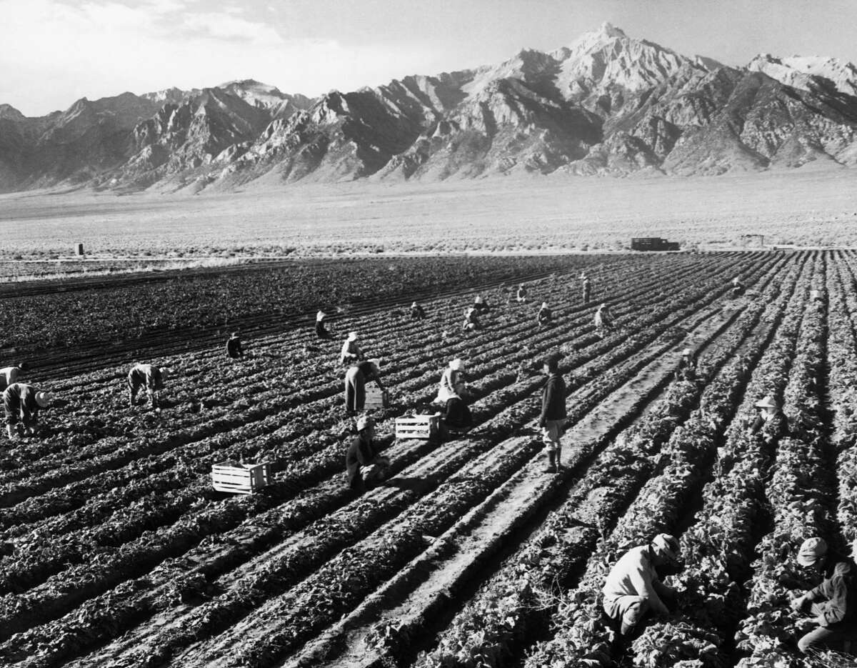 Inside Japanese Internment Camps