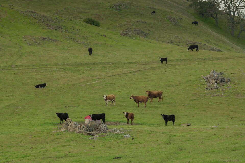 Here's who bought 787-acre Bay Area ranch in the same family for more ...