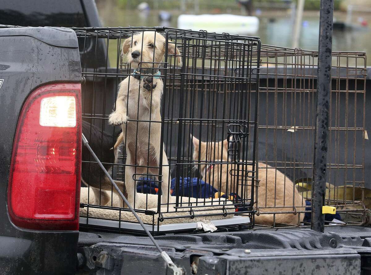 Storms slam Rio Grande Valley; hundreds rescued