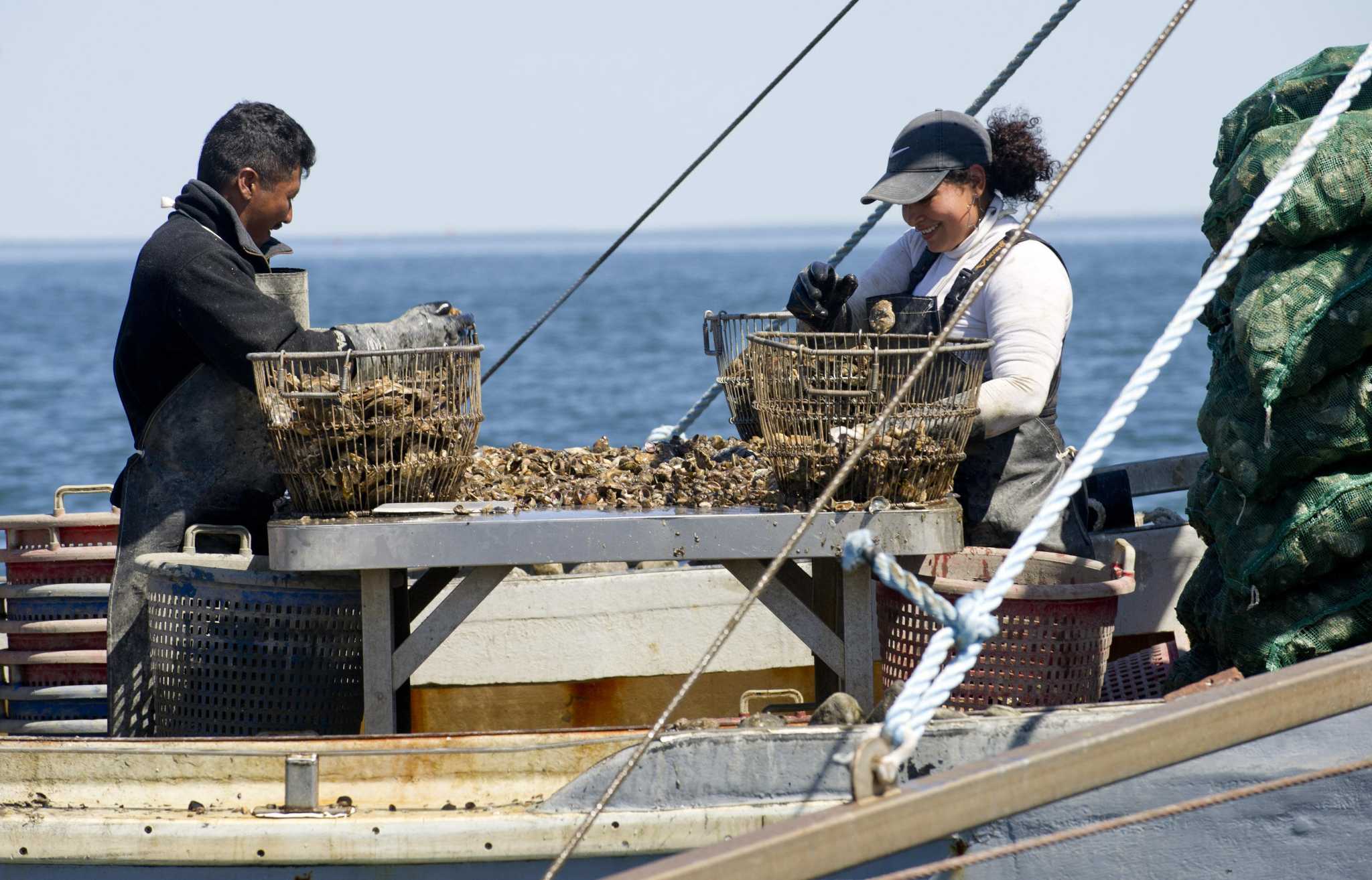 In the journey from sea to table, seafood origins largely opaque