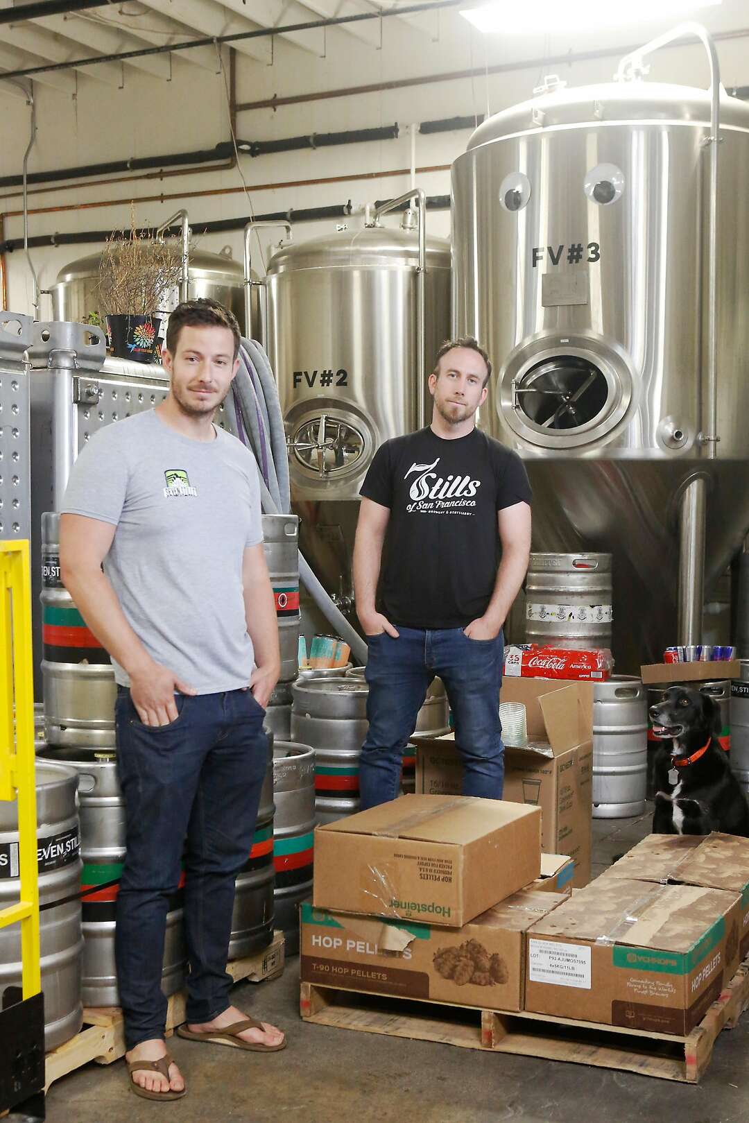 How the surging Seven Stills found the magic formula of beer and spirits