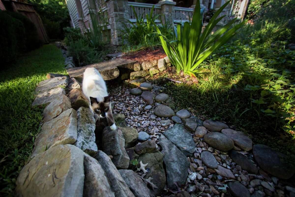This sustainable garden in West U puts Houston's rain to work