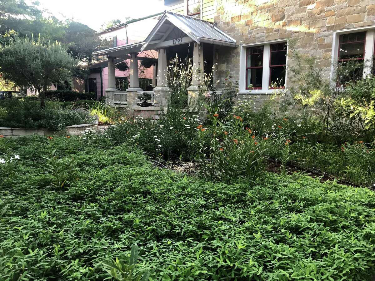 This sustainable garden in West U puts Houston's rain to work