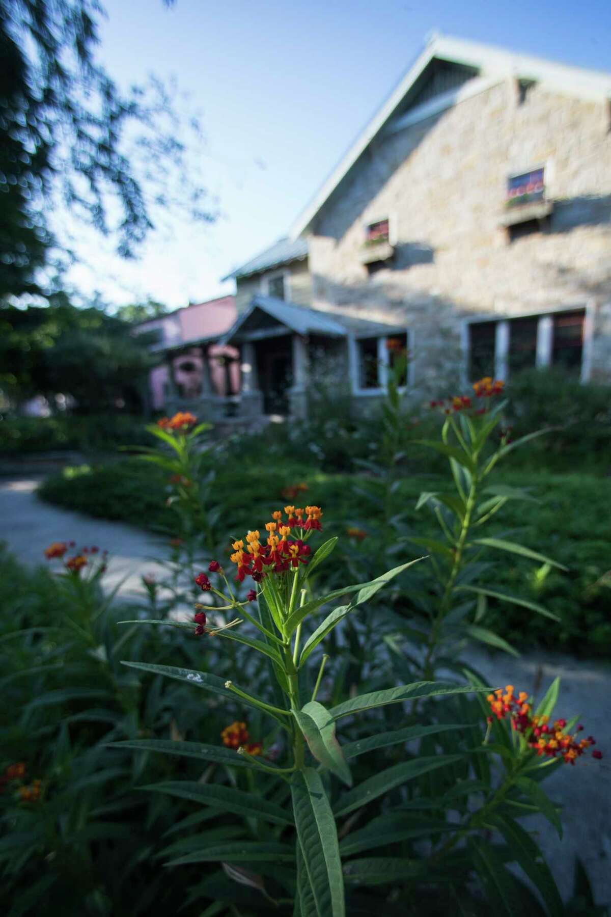 This sustainable garden in West U puts Houston's rain to work