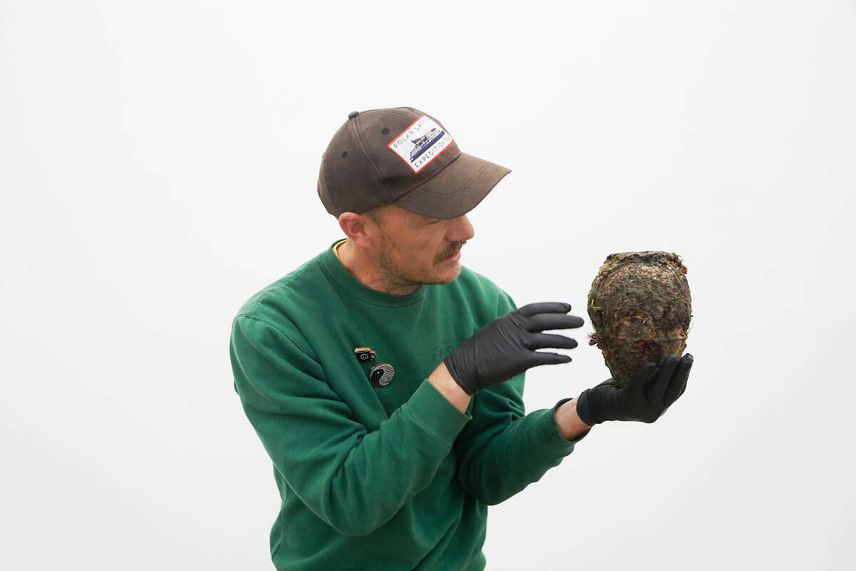 Will Rogan gives the mast from his houseboat to his art