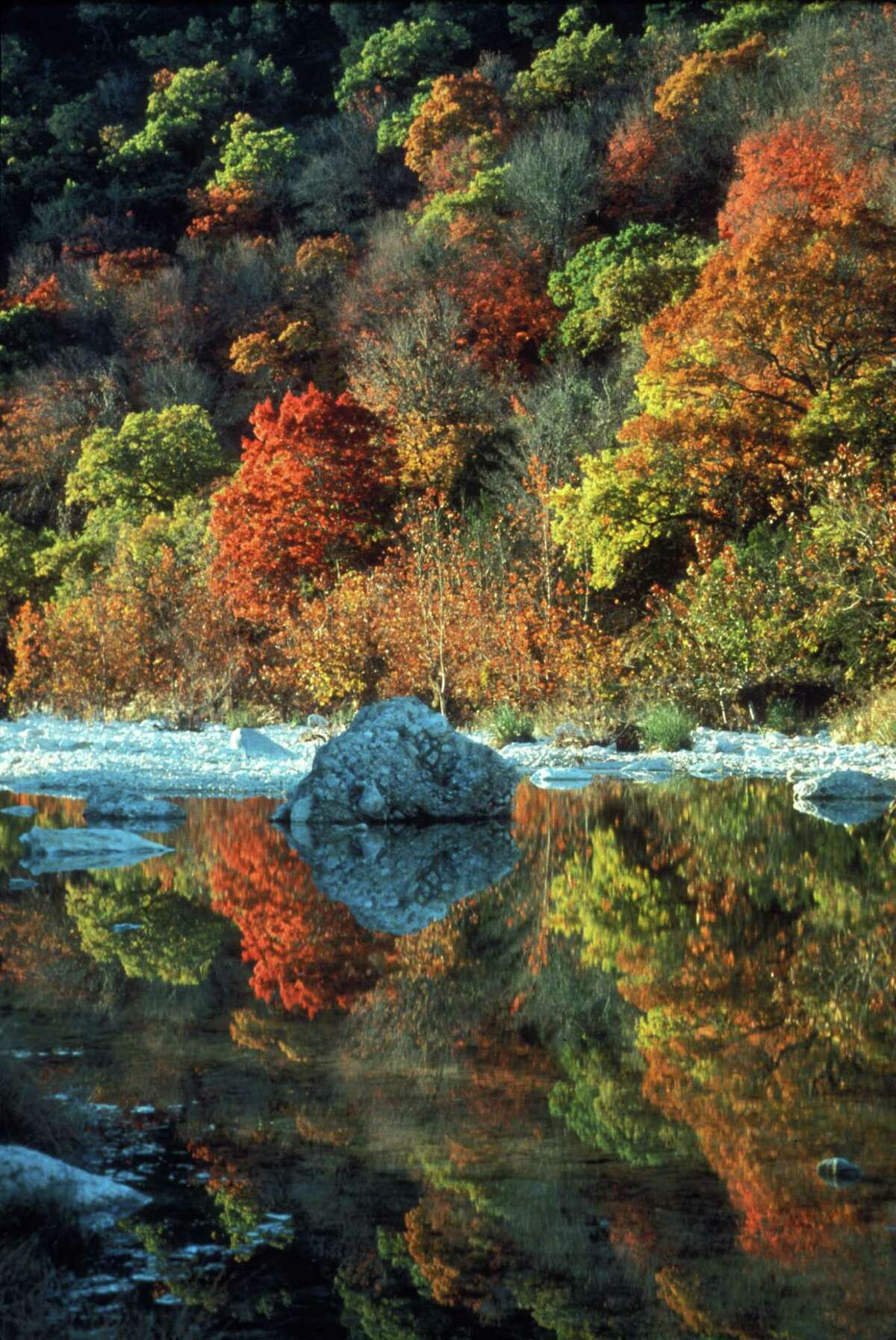 14 things to know about Lost Maples State Natural Area