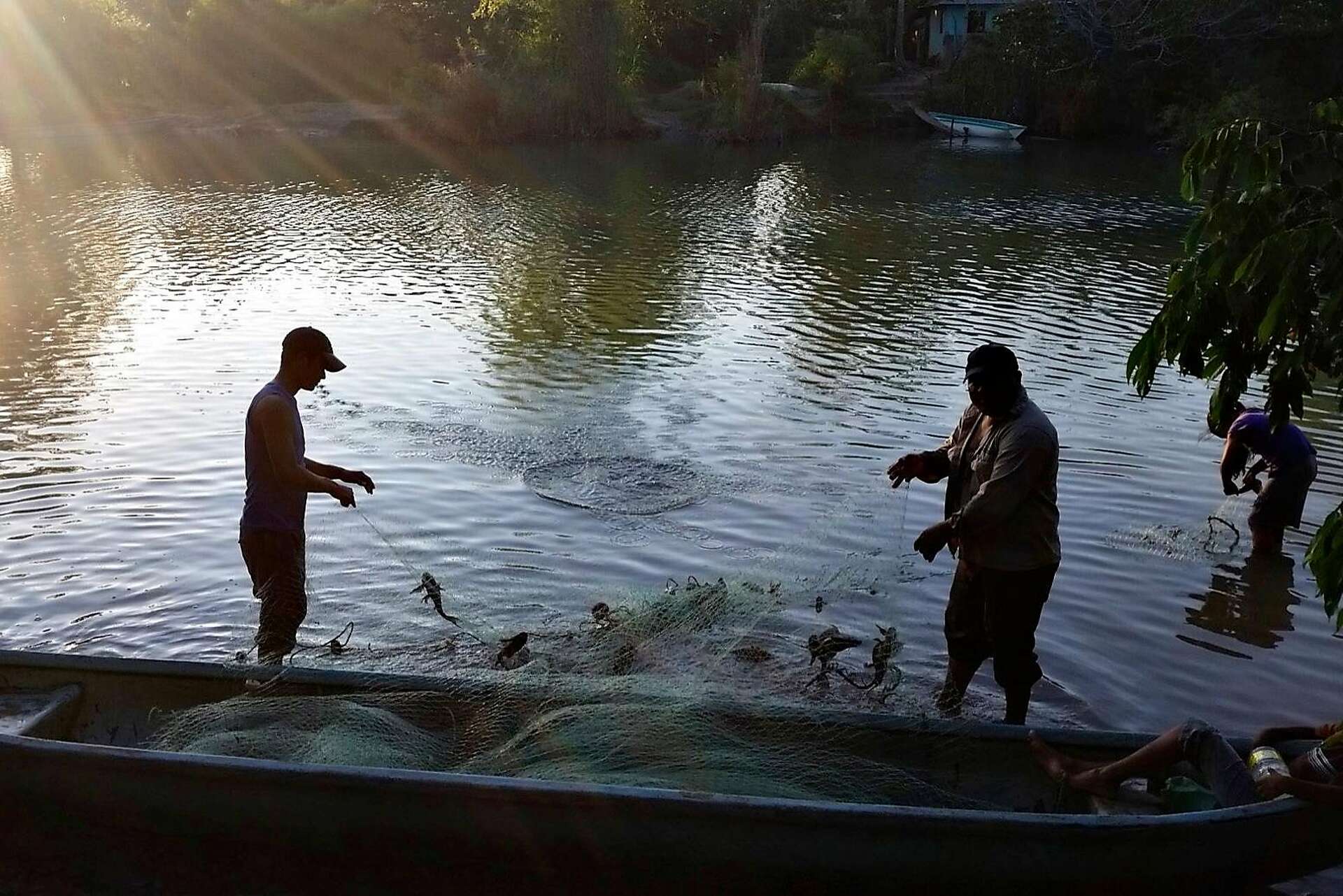 Bay Area men’s plan to market invasive fish from Mexico hits snag in U.S.