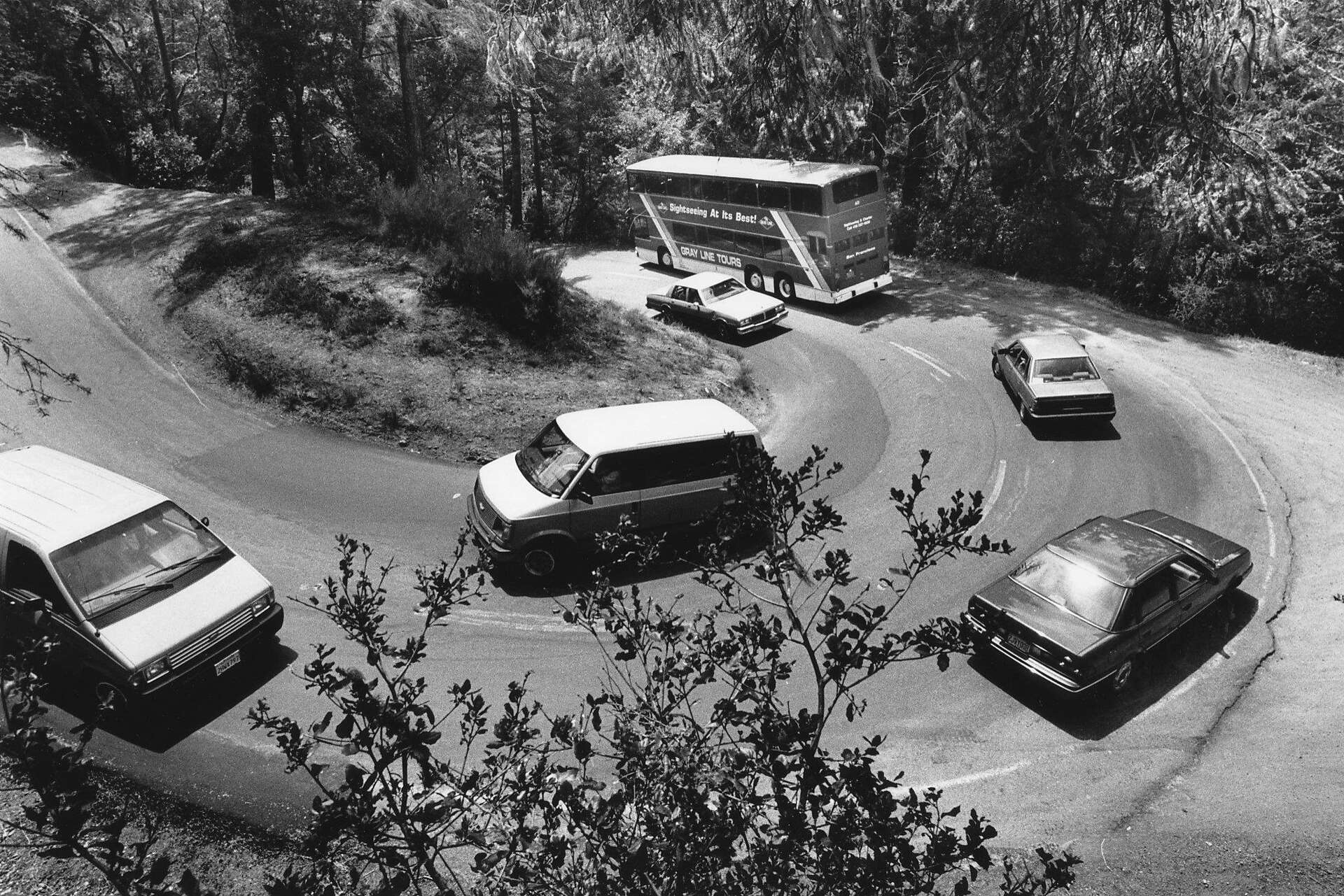 How one couple saved Muir Woods from becoming a dammed reservoir