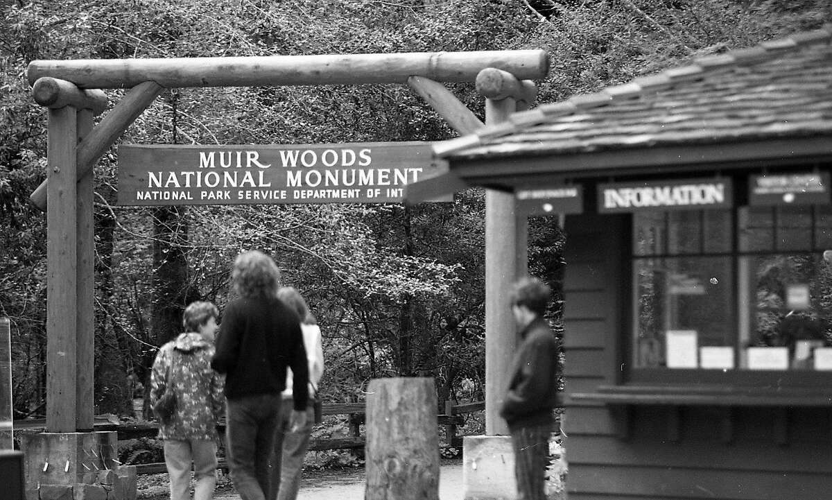 How one couple saved Muir Woods from becoming a dammed reservoir