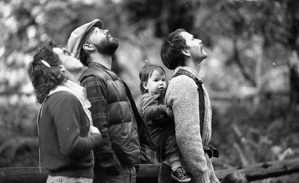 How one couple saved Muir Woods from becoming a dammed reservoir