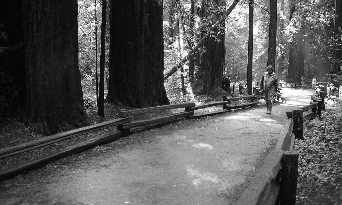 How one couple saved Muir Woods from becoming a dammed reservoir