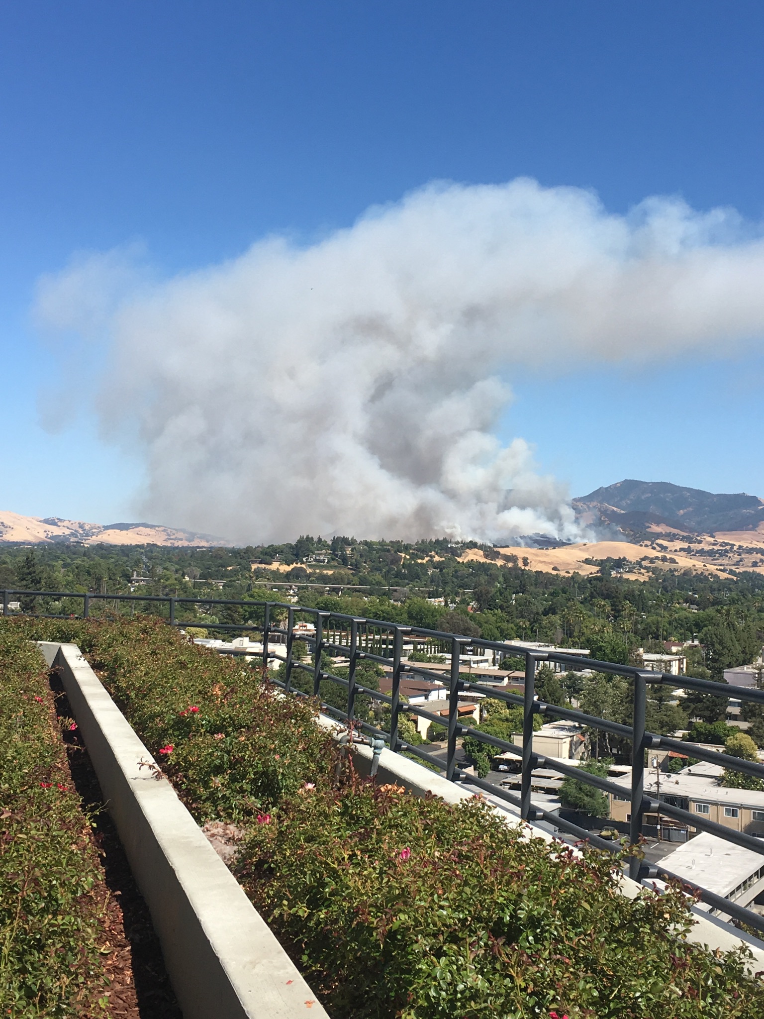 Grass fire at Concord-Walnut Creek border nearly contained