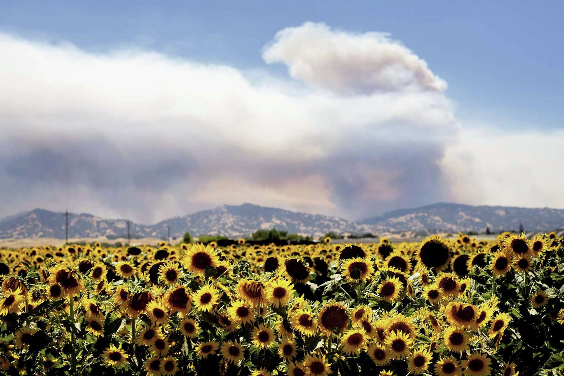 Firefighter killed battling Ferguson Fire near Yosemite National Park