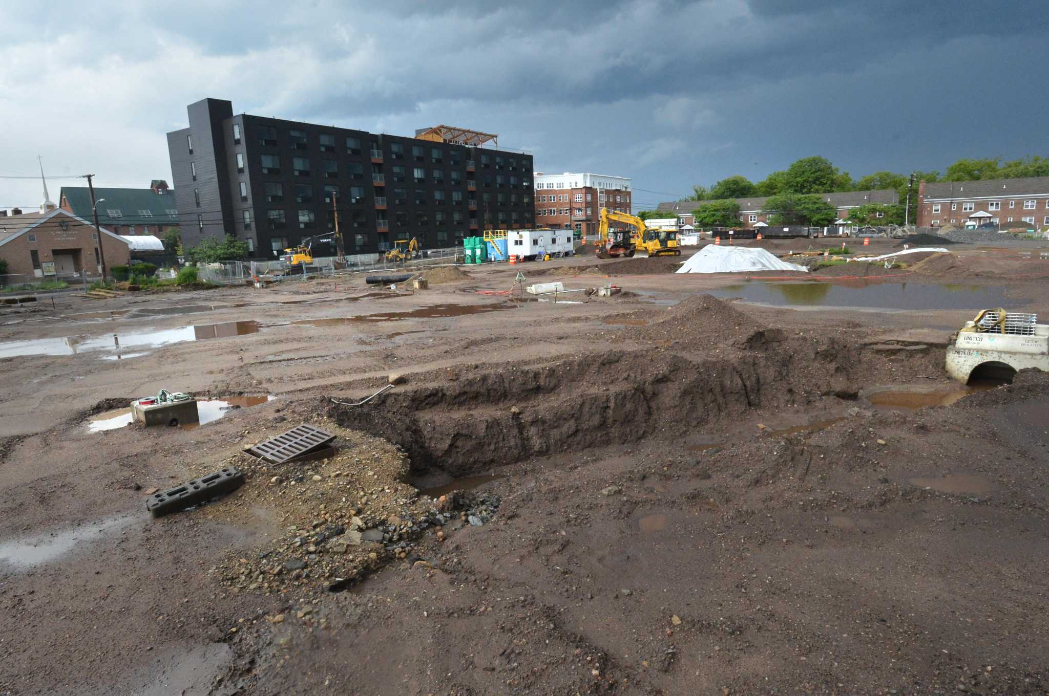 PCB numbers released as Ryan Park cleanup nears completion