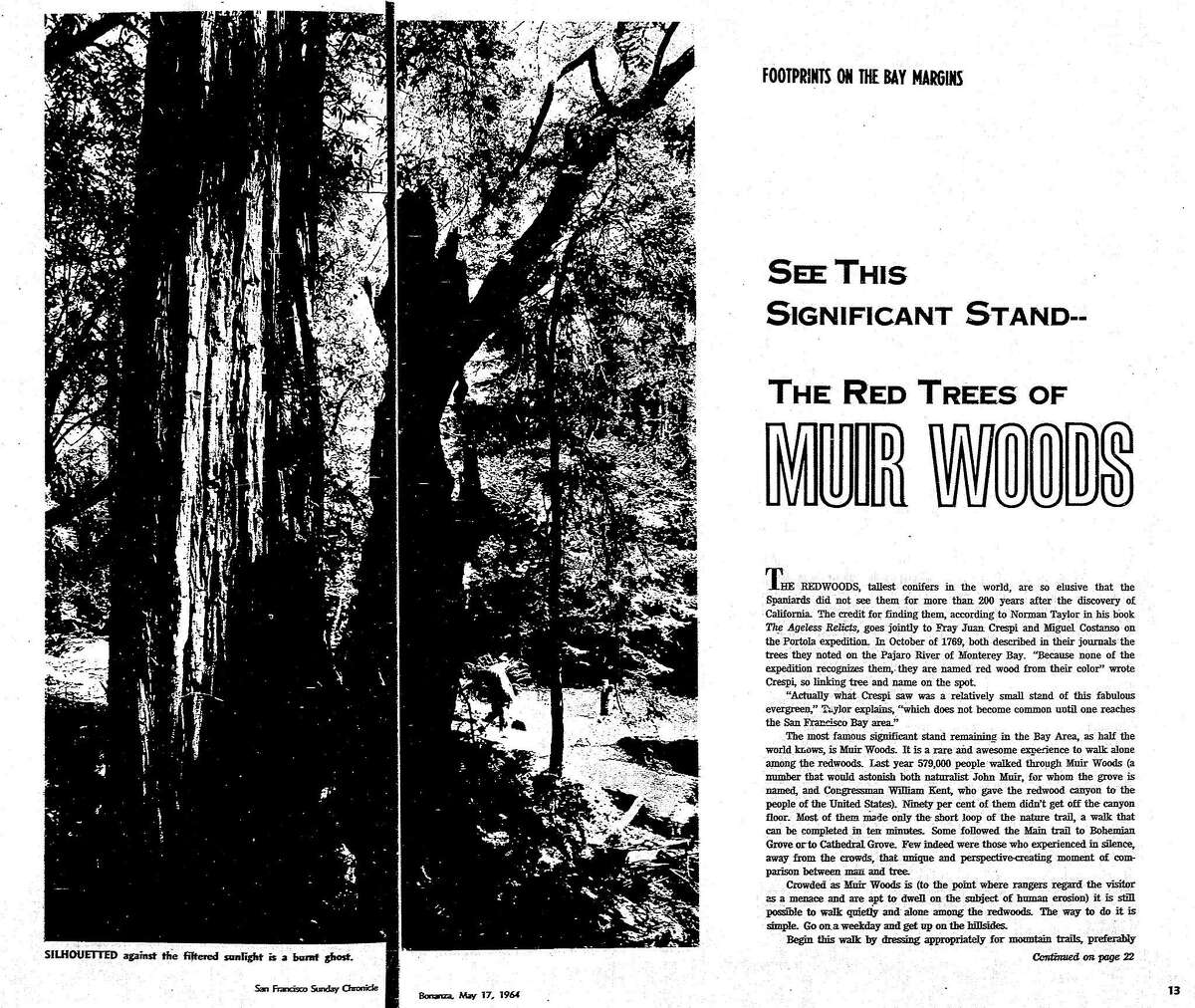 How one couple saved Muir Woods from becoming a dammed reservoir