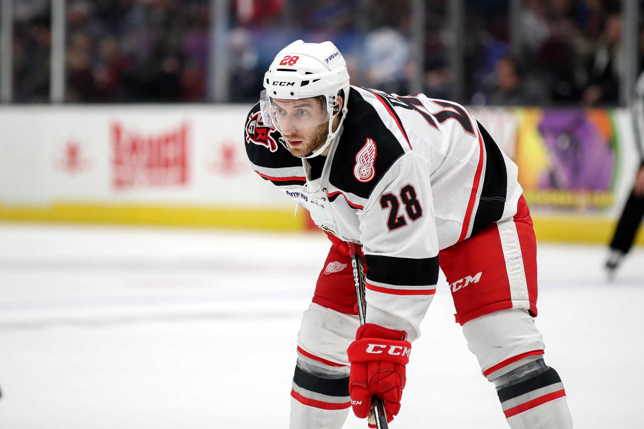 Islanders make free-agency splash for Sound Tigers with Sislo, Lorito