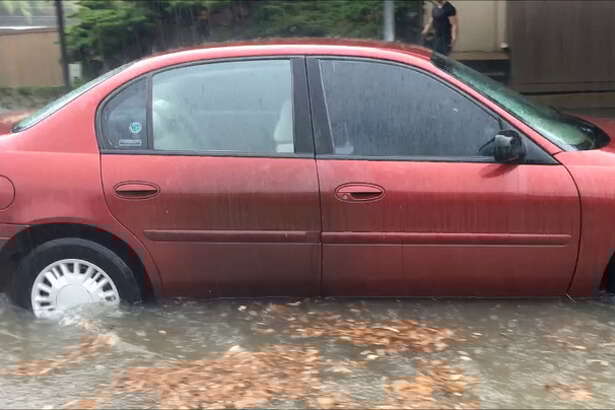 Photo of 'angry' cat in Harvey floodwaters sparks memes, controversy ...