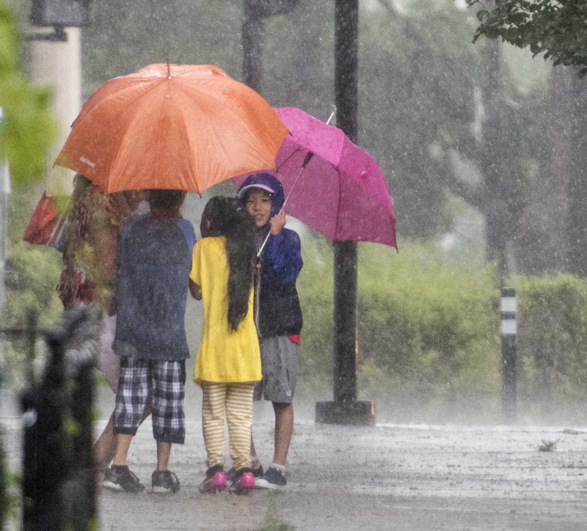 Rain, humidity close in on Albany area