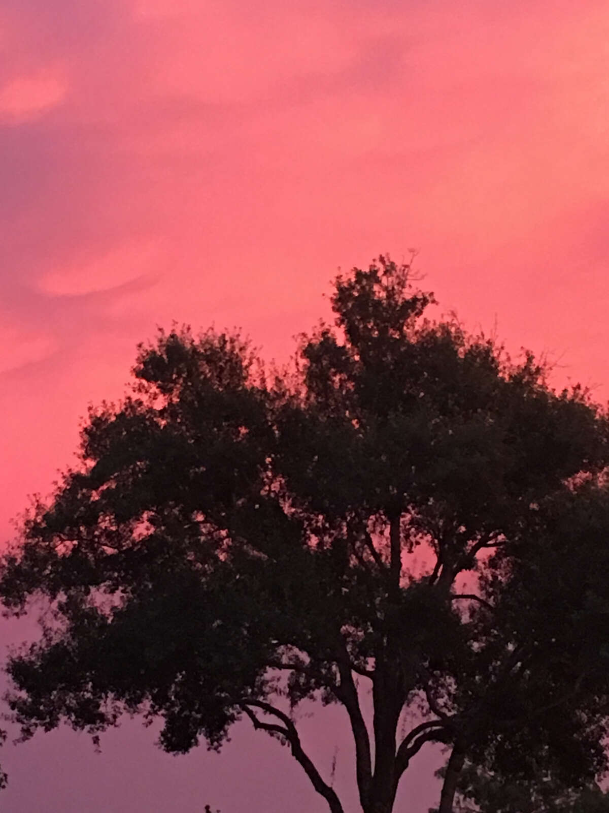 Houston's beautiful orange pink sky at sunset, explained by science