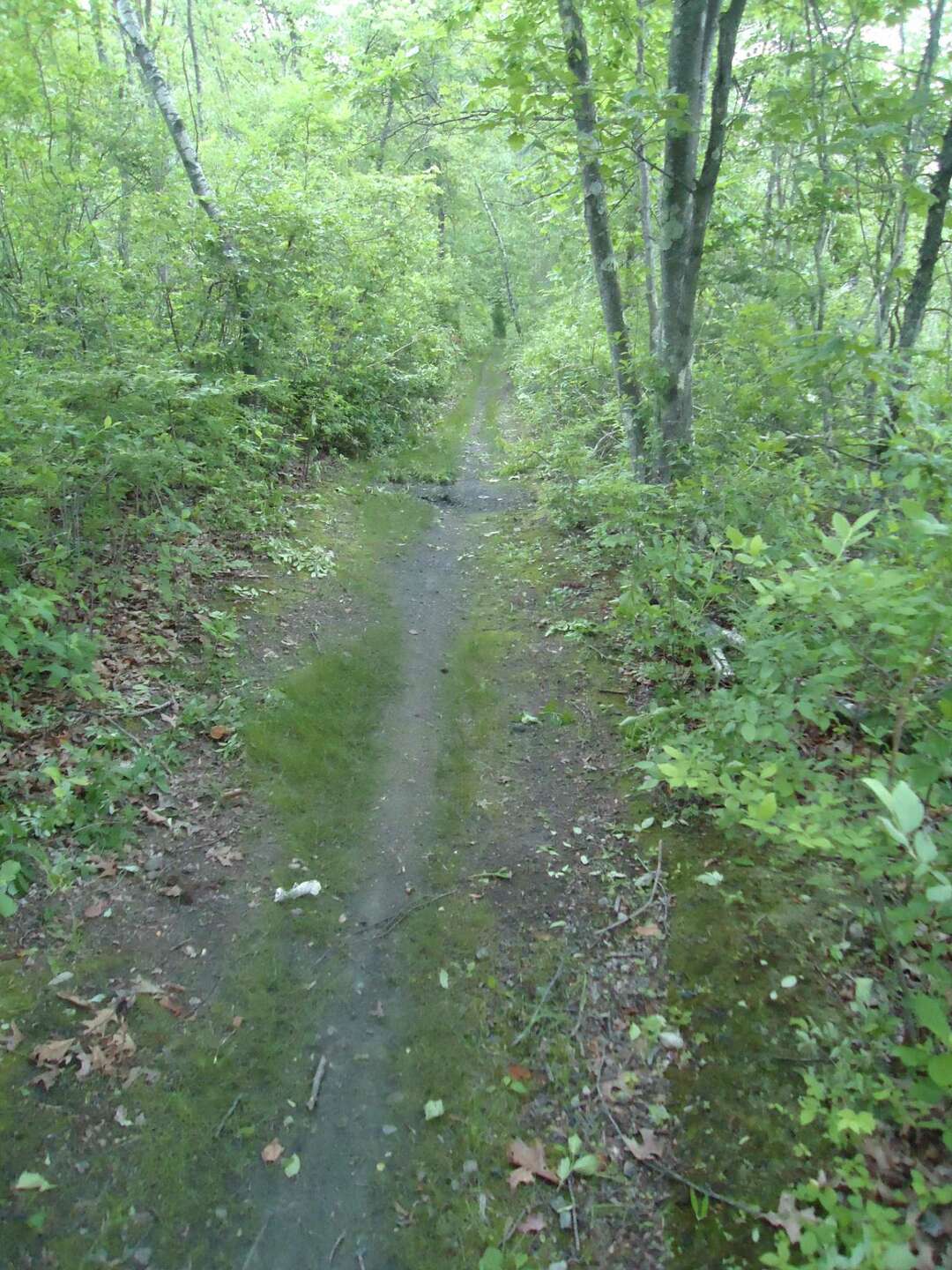 Bike trail stretches from Bridgeport to Newtown