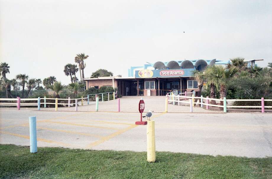 Sea-Arama in Galveston was an island attraction for decades - Houston ...