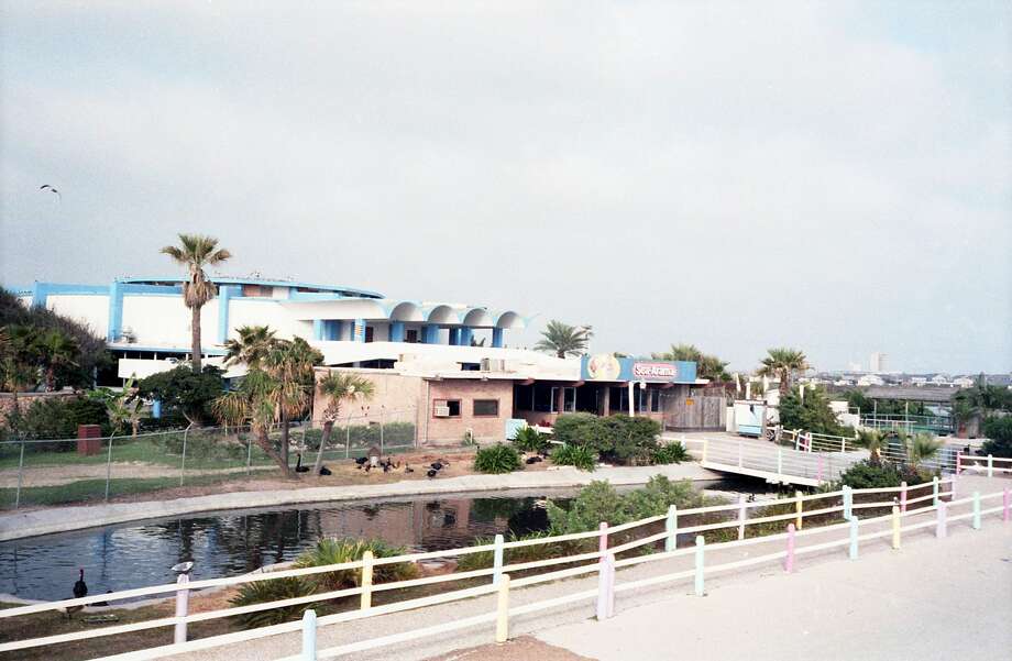 Sea-Arama in Galveston was an island attraction for decades - Houston ...