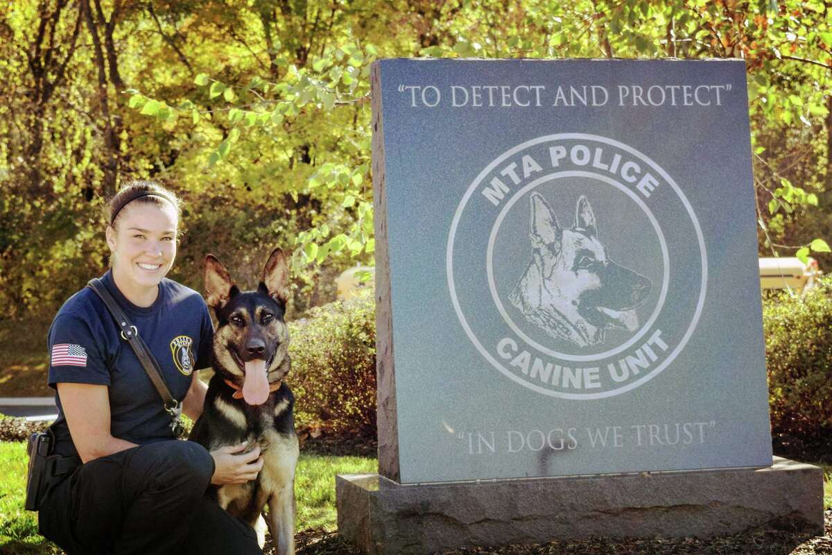 MTA K-9 unit has selective progress for dogs, handlers