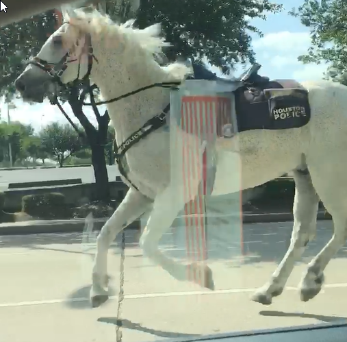 Runaway police horse spooked by robbery suspect in downtown Houston