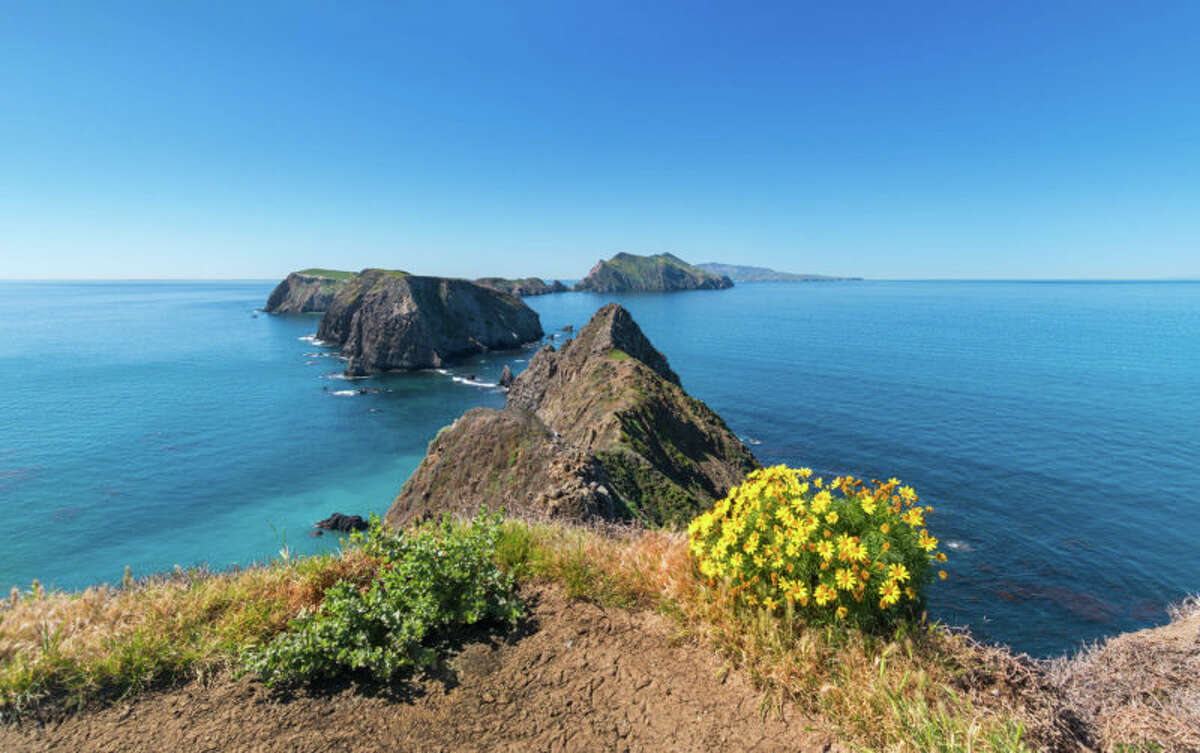 I went looking for shrunken mammoths that once roamed Calif.'s Channel ...