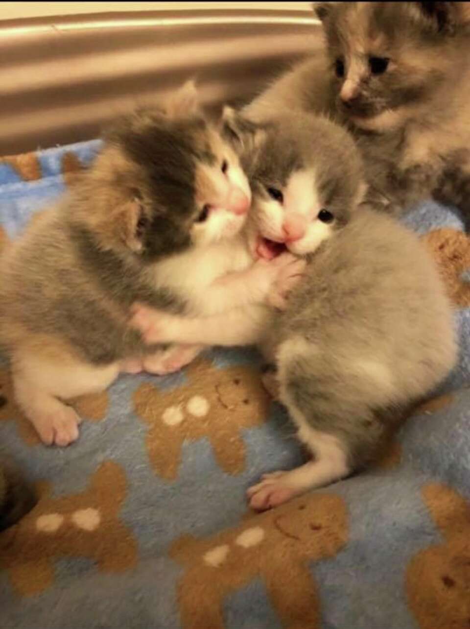 20 things you don't know about me: Heather Morrison