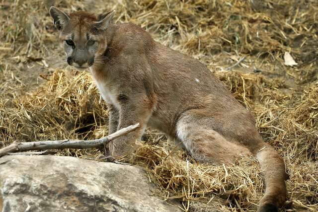 Urban myths and legends of Connecticut