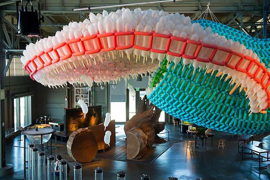 Exploratorium ‘Inflatable’ exhibit puts cool air into art and science ...