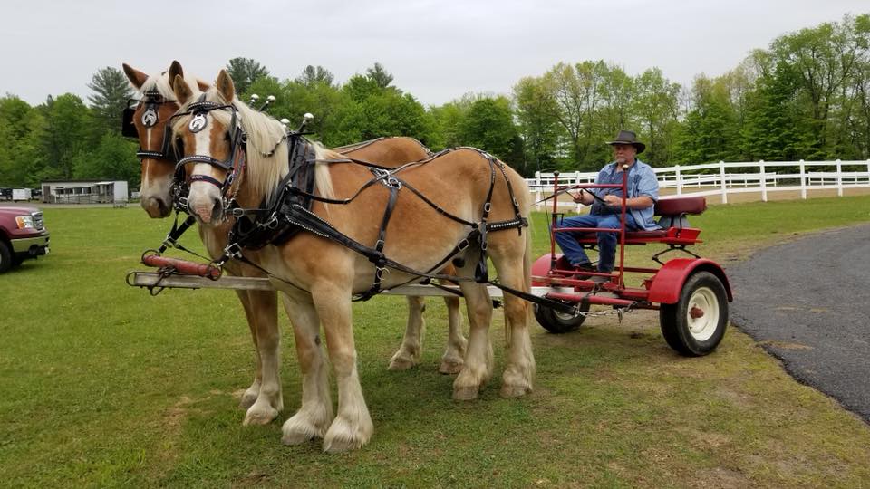 Saratoga County 4-H goes beyond the barn