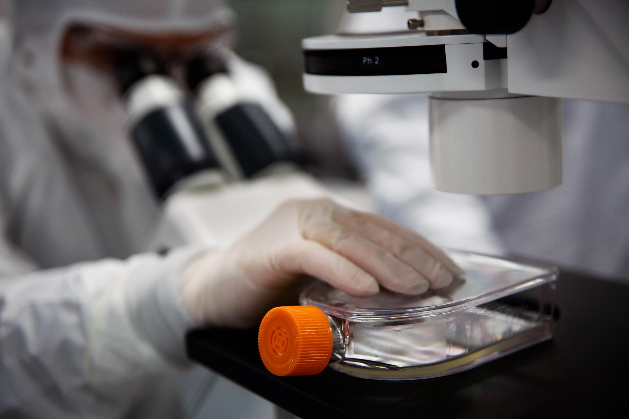 Prop. 14: Stem cells measure passing