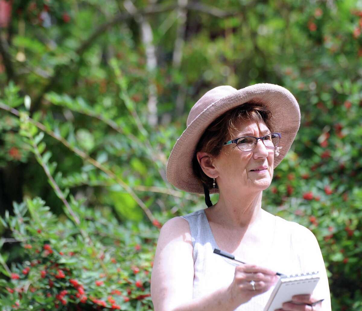 Impressions of Dmitri