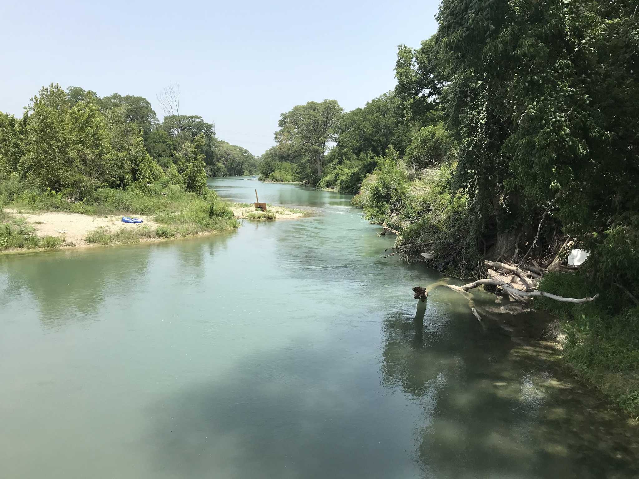 Over 400 invasive fish extracted from San Marcos River